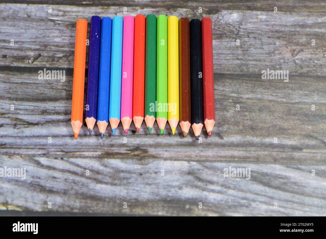 small short wood color pencils of different colors for painting ...
