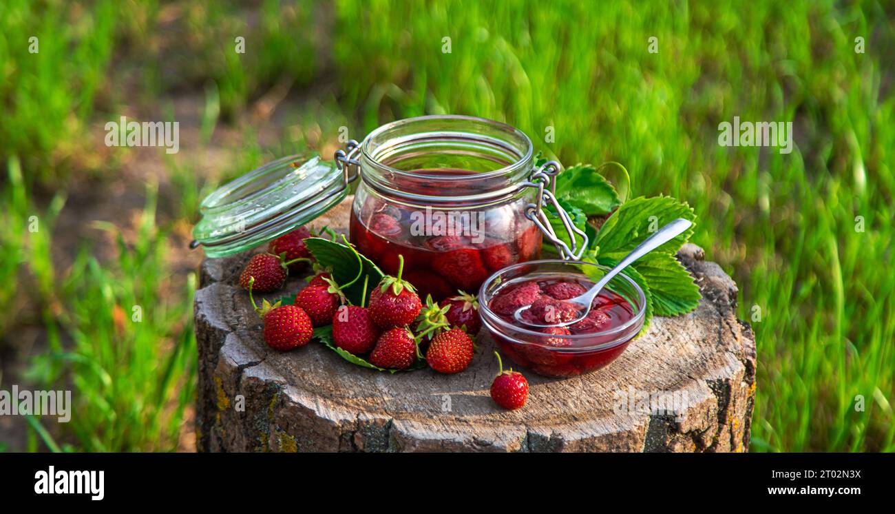 Strawberry jam in the garden. Selective focus. Food Stock Photo - Alamy