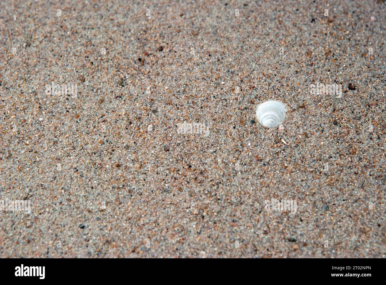 Sand sandy gravel hi-res stock photography and images - Alamy