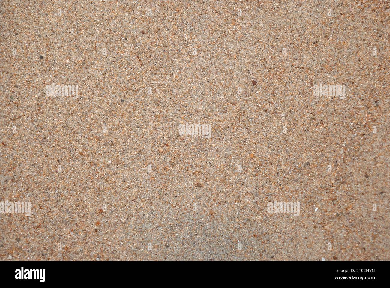 Basic beach hi-res stock photography and images - Alamy