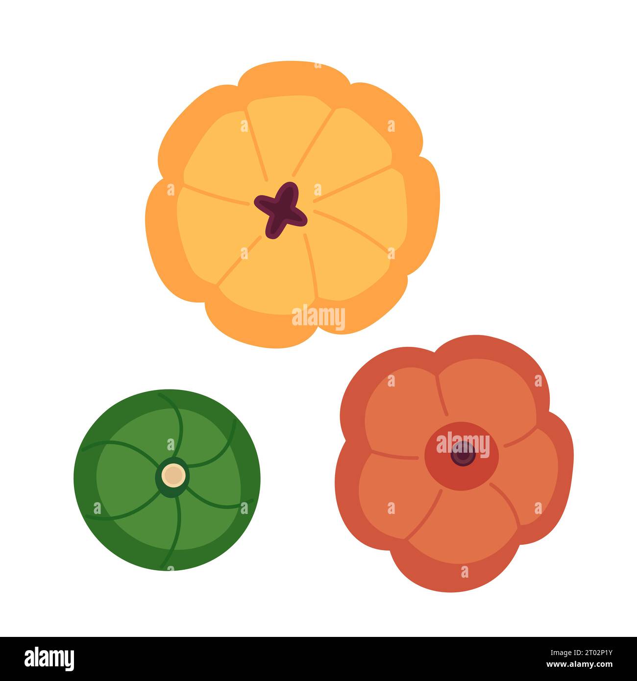 View of pumpkins Stock Vector Images - Alamy