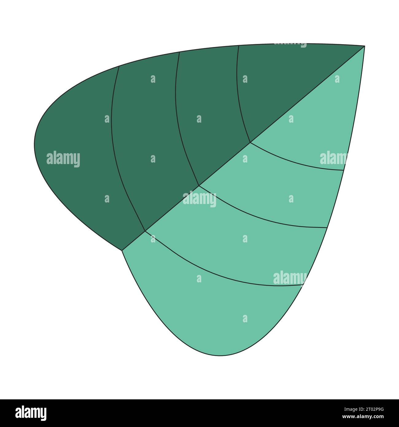 Linear shaped leaf hi-res stock photography and images - Alamy