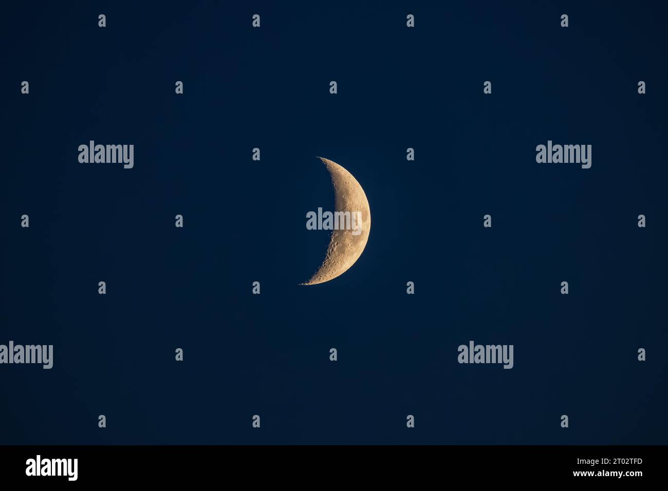 First quarter moon against a starless sky in the blue hour in Germany ...