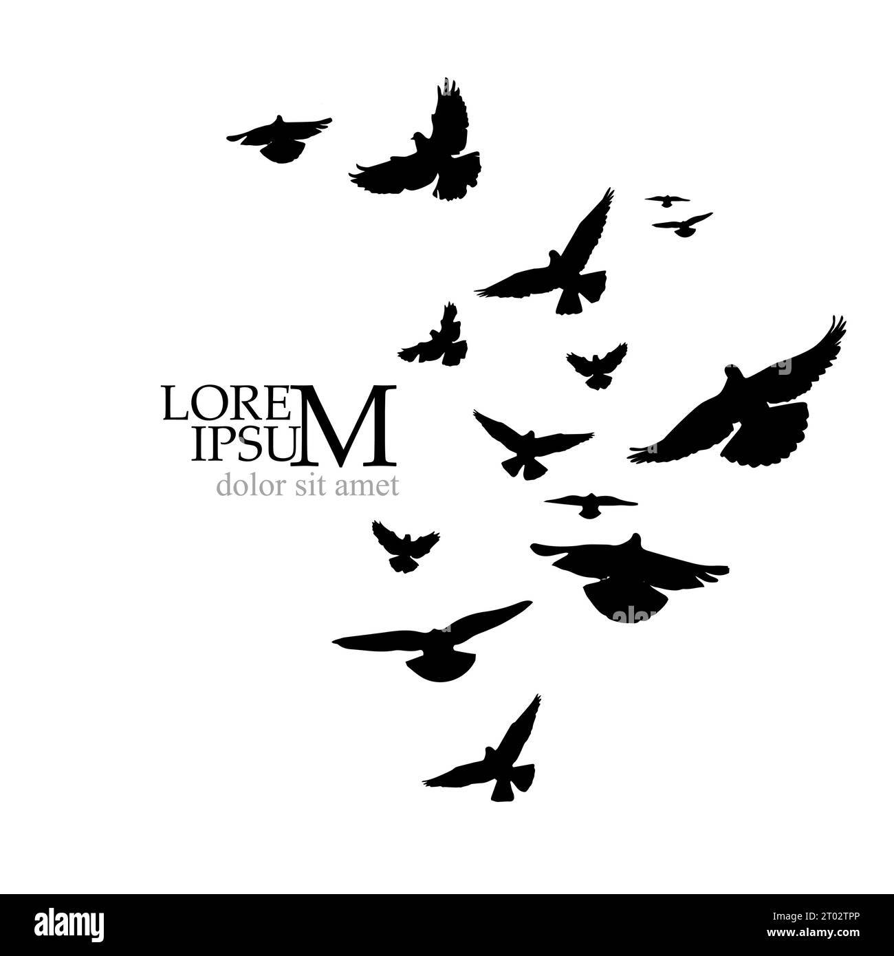 Flock Flying Birds Drawing