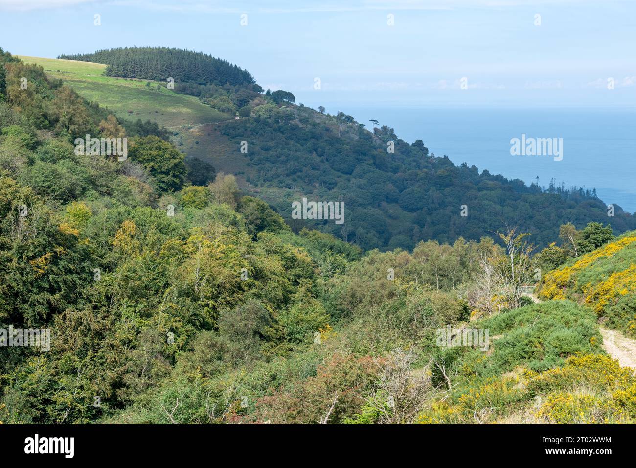 Photo of the footpath leading down to Glenthorne beach in Exmoor ...