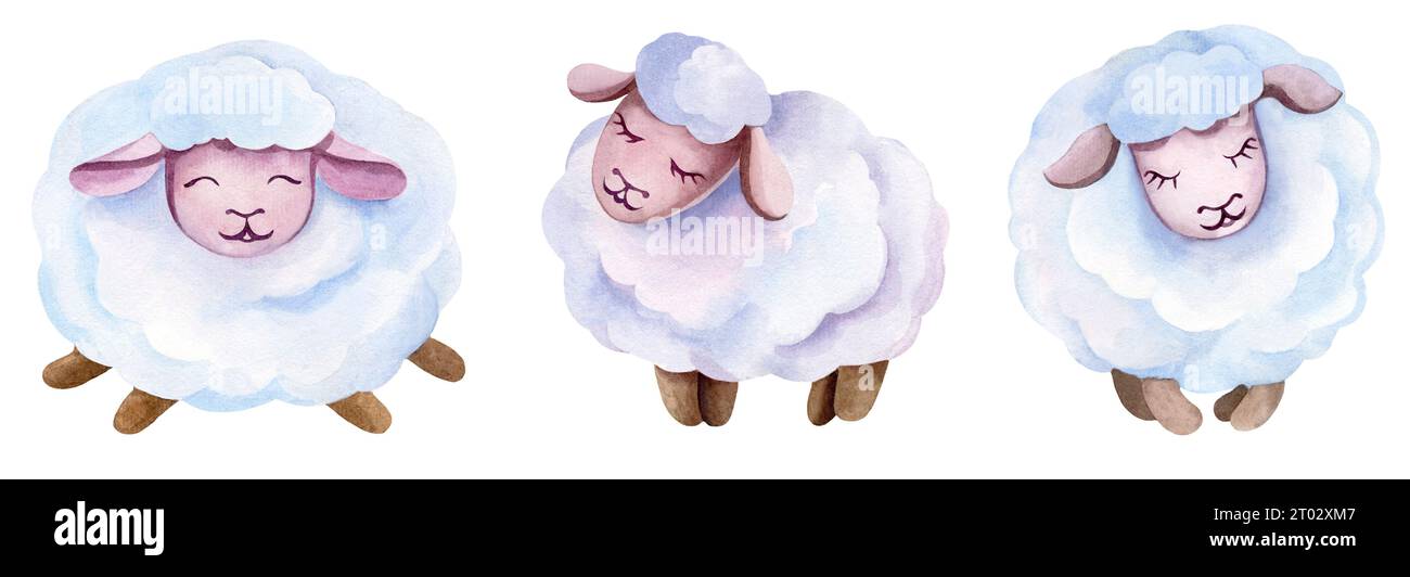 Set of watercolor illustrations of cartoon sheep. Fluffy animals on a ...