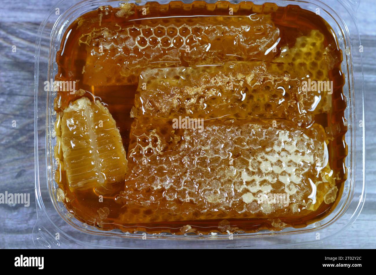 Hexagonal honeycomb cells with honey that hold the queen bee's eggs and ...