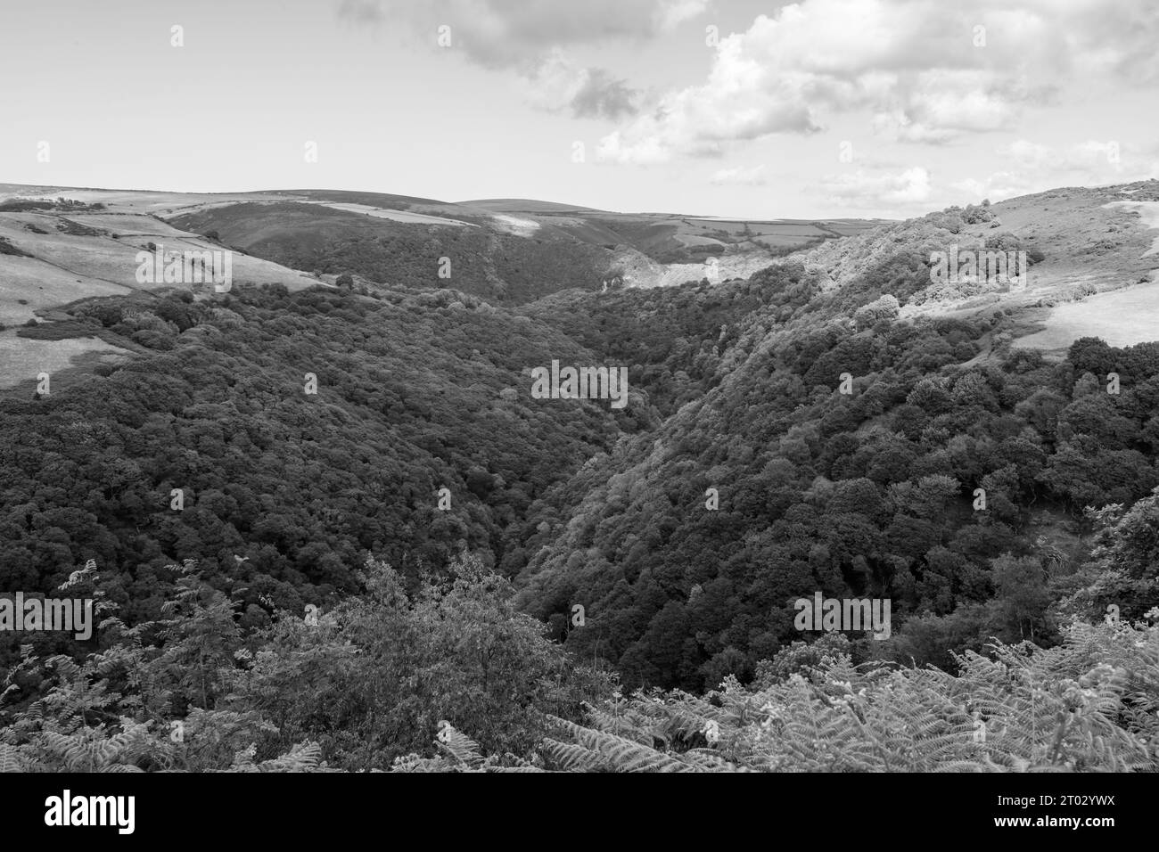 Landscape photo of Countisbury Hill and Watersmeet Valley in Exmmor ...