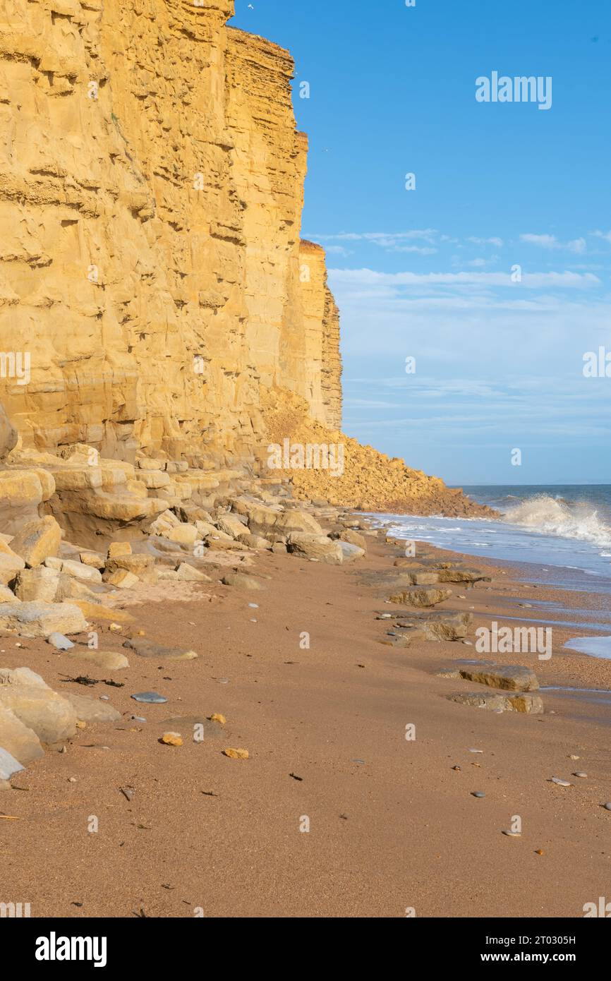 The landslide from August 2023 on the East cliff at West Bay on the ...