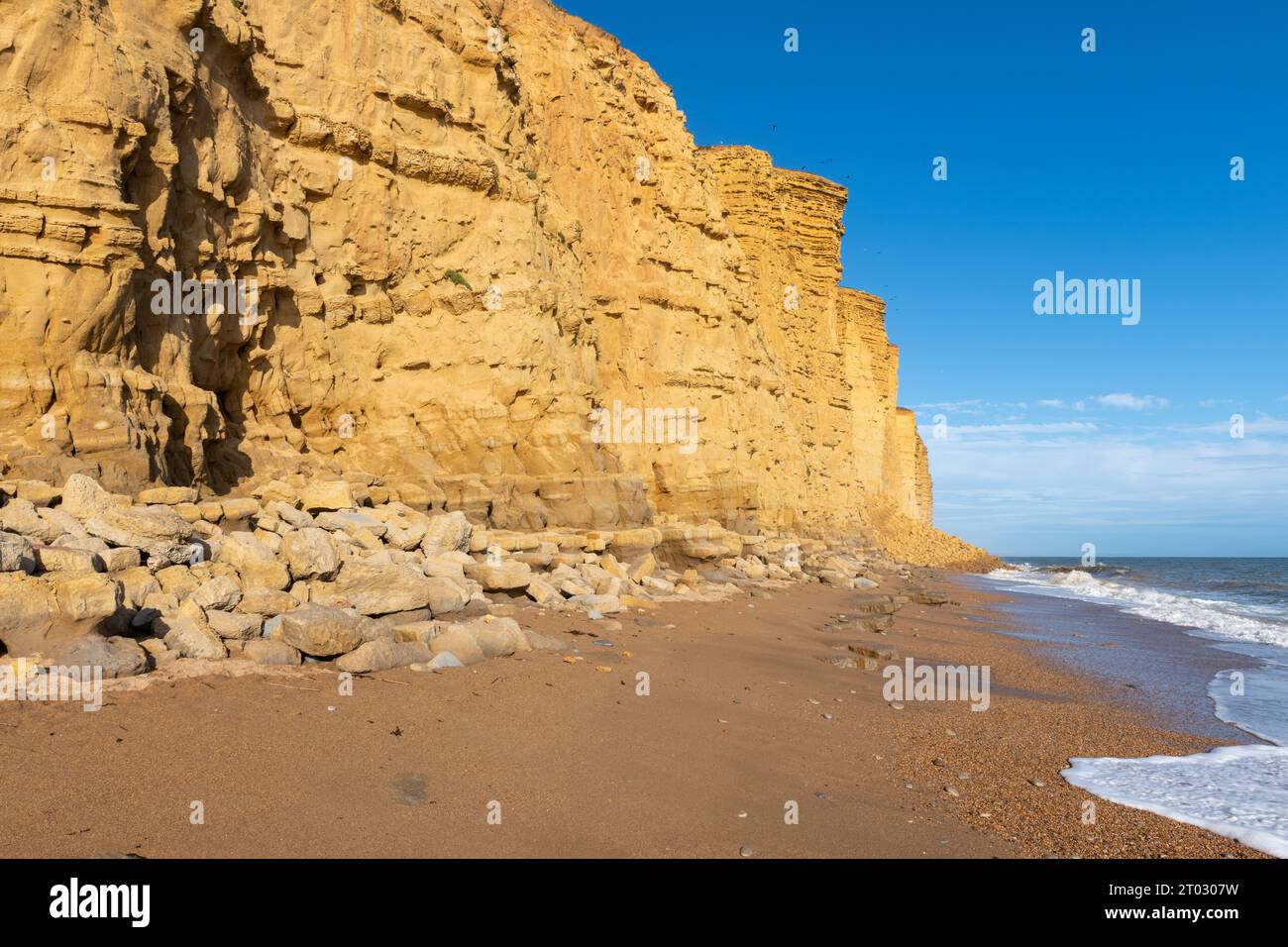 The landslide from August 2023 on the East cliff at West Bay on the ...