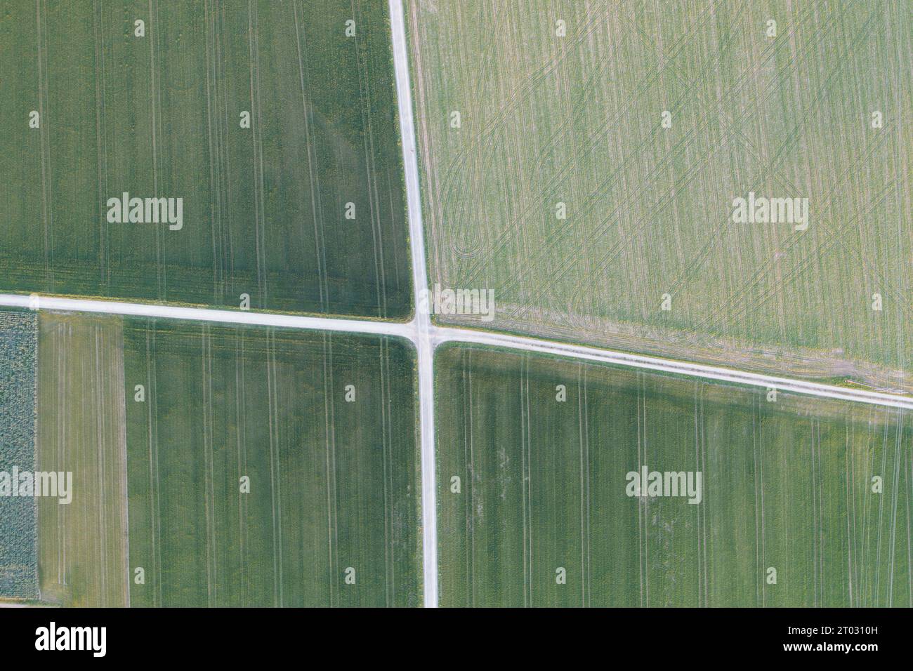 Nice village with many fields where farmers grow crops for the people to have enough food in ...