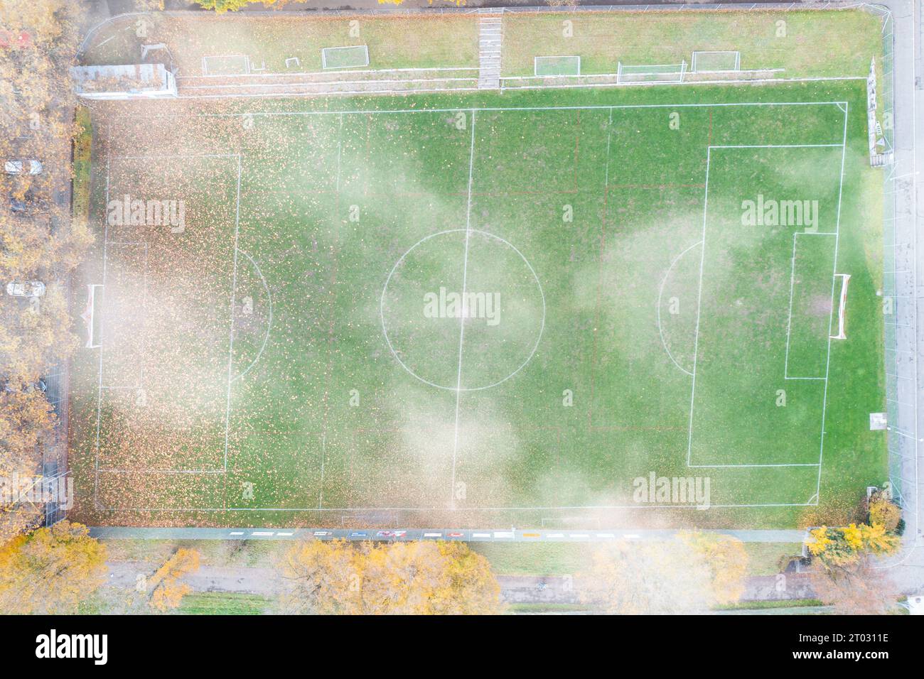 A soccer field viewed from above. A bit misshapen. A lawn robot mows ...
