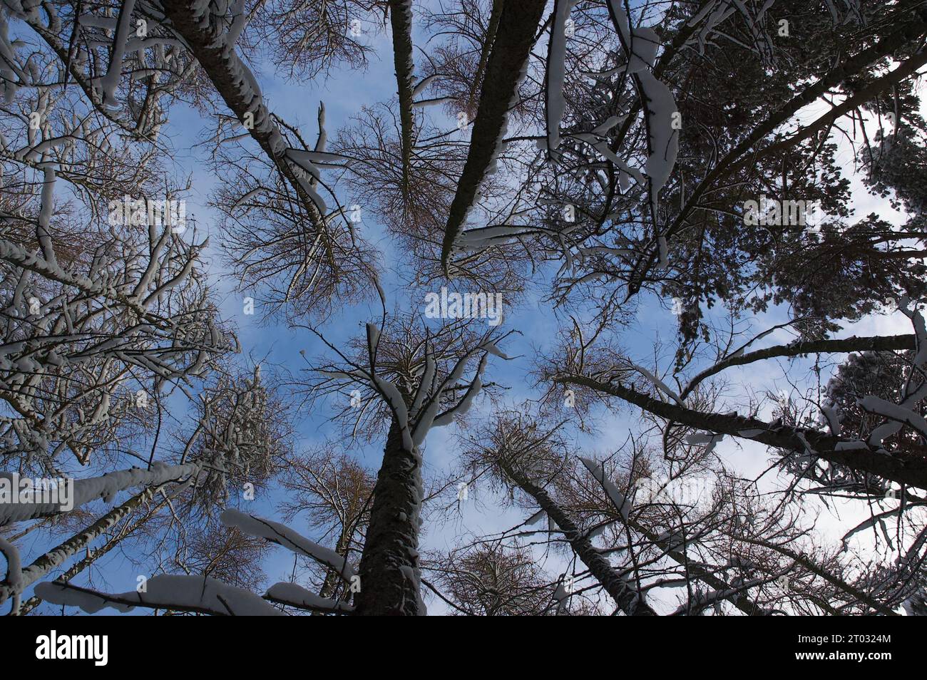 Bright snowy day hi-res stock photography and images - Alamy