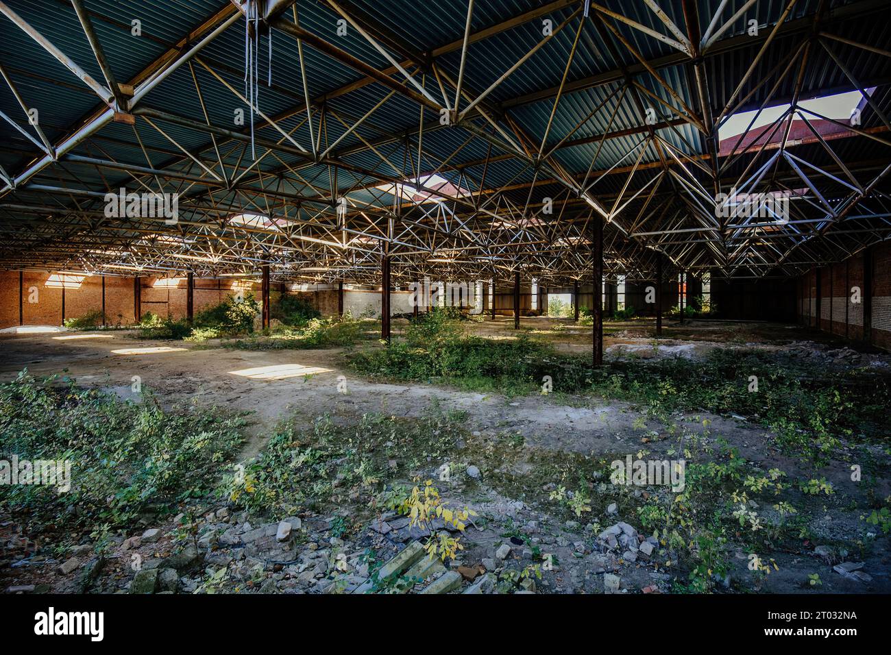 Old ruined industrial building overgrown by green moss and plants Stock ...
