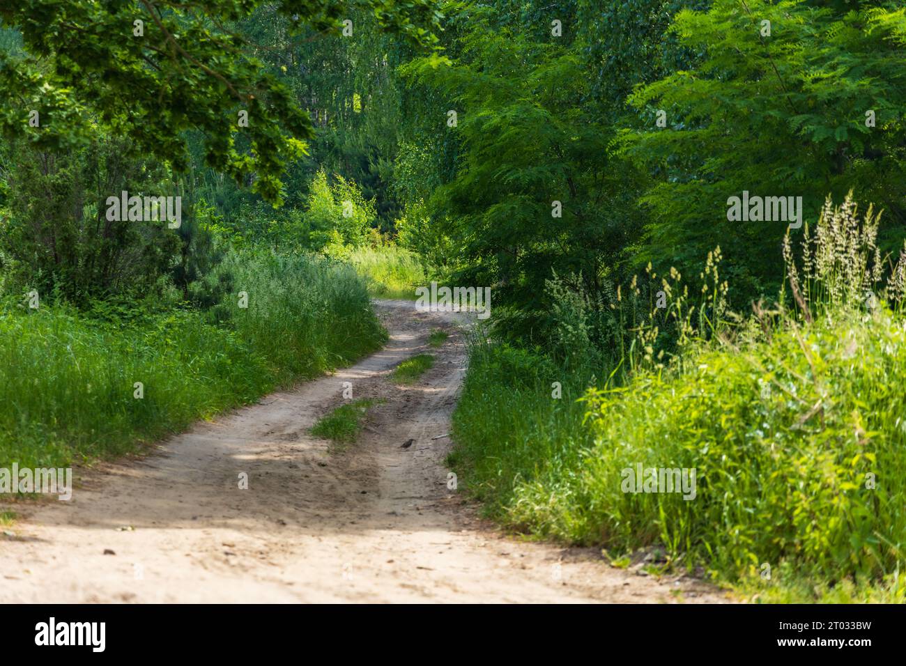 Curvy path hi-res stock photography and images - Alamy