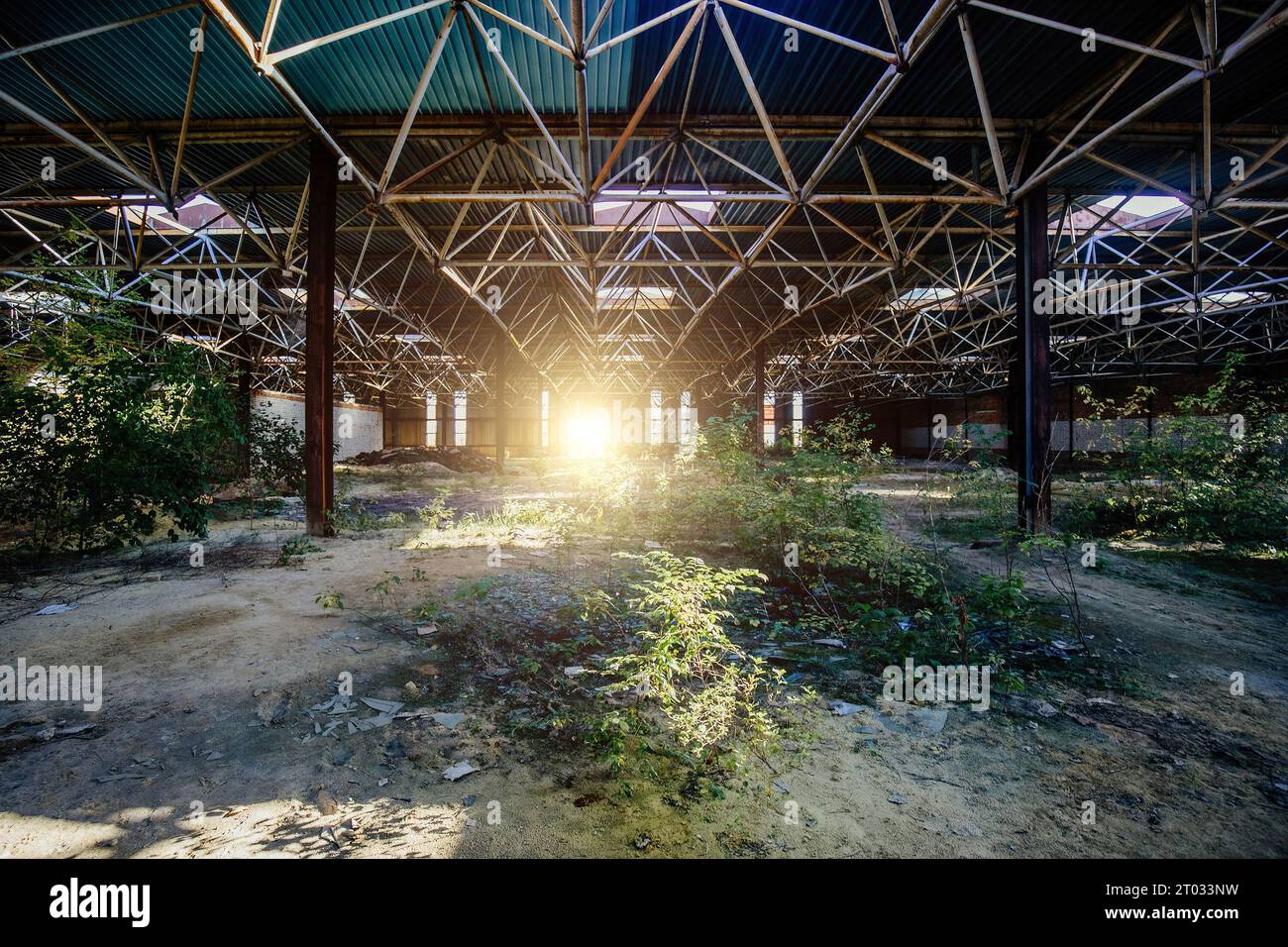 Old ruined industrial building overgrown by green moss and plants Stock ...