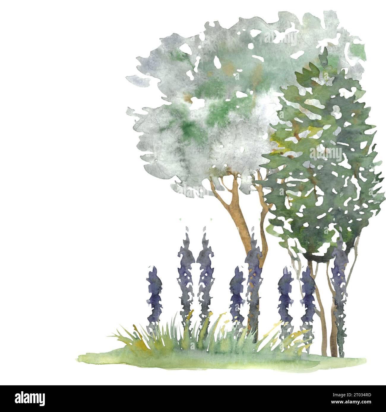 hand-drawn watercolor sketch for landscape design, tree grass bushes ...