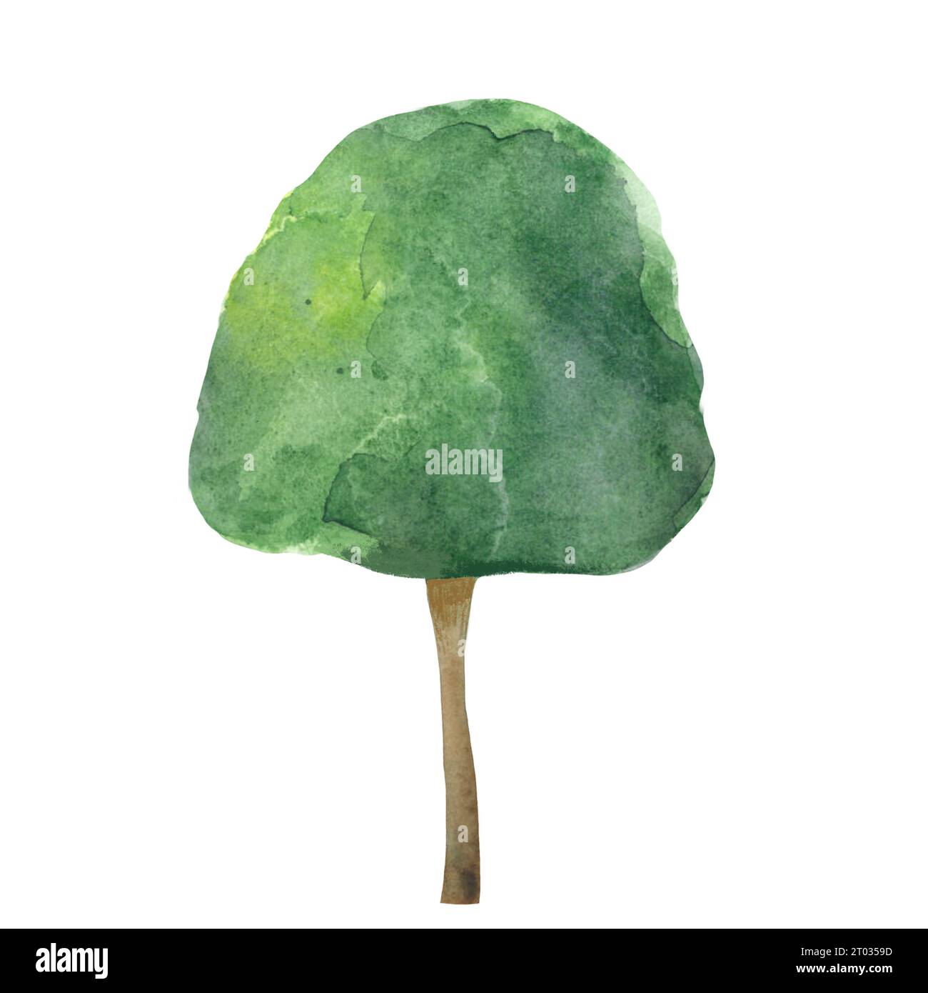 tree sketches of plants for landscape design drawn in watercolor ...