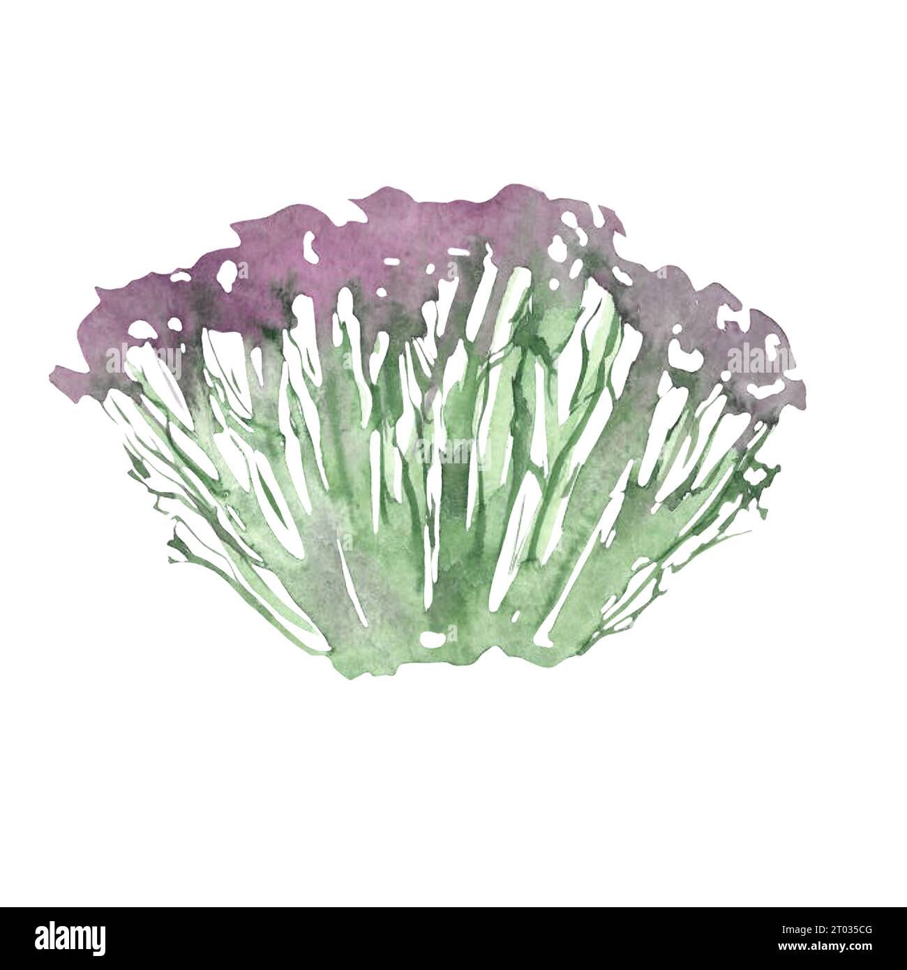 bushes, flowers, sketches of plants for landscape design drawn in ...