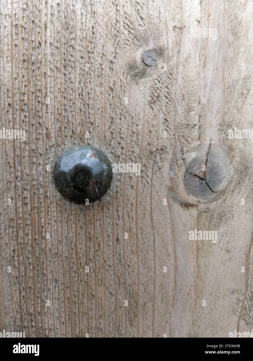Decorative door nail hi-res stock photography and images - Alamy