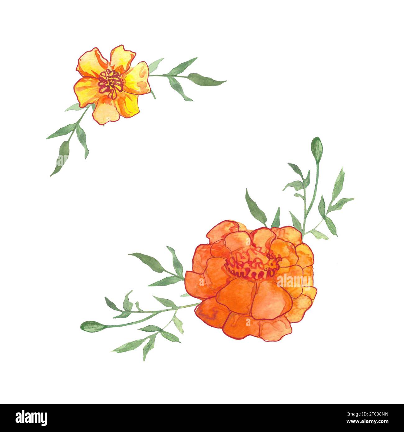 Colors painted background flower Cut Out Stock Images & Pictures - Alamy