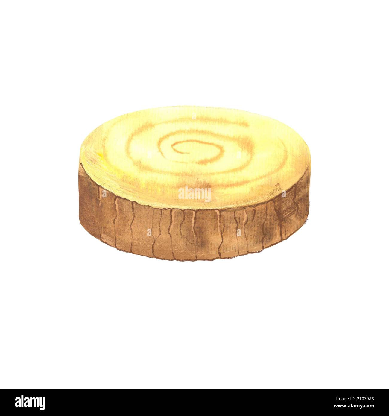 saw cut of a tree drawn by watercolor, isolated illustration of wood ...