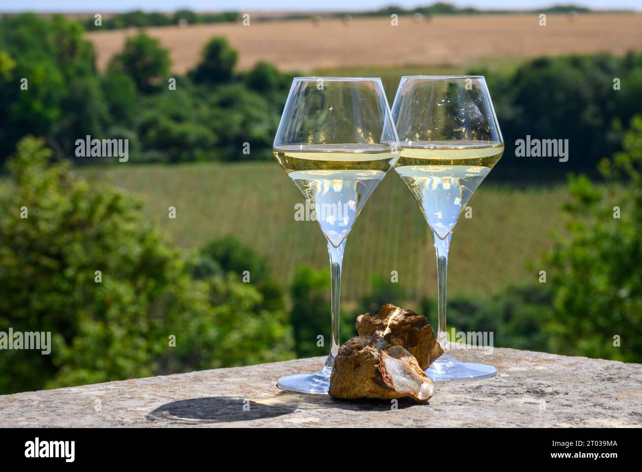 Glasses of white wine from vineyards of Sancerre Chavignol appelation ...