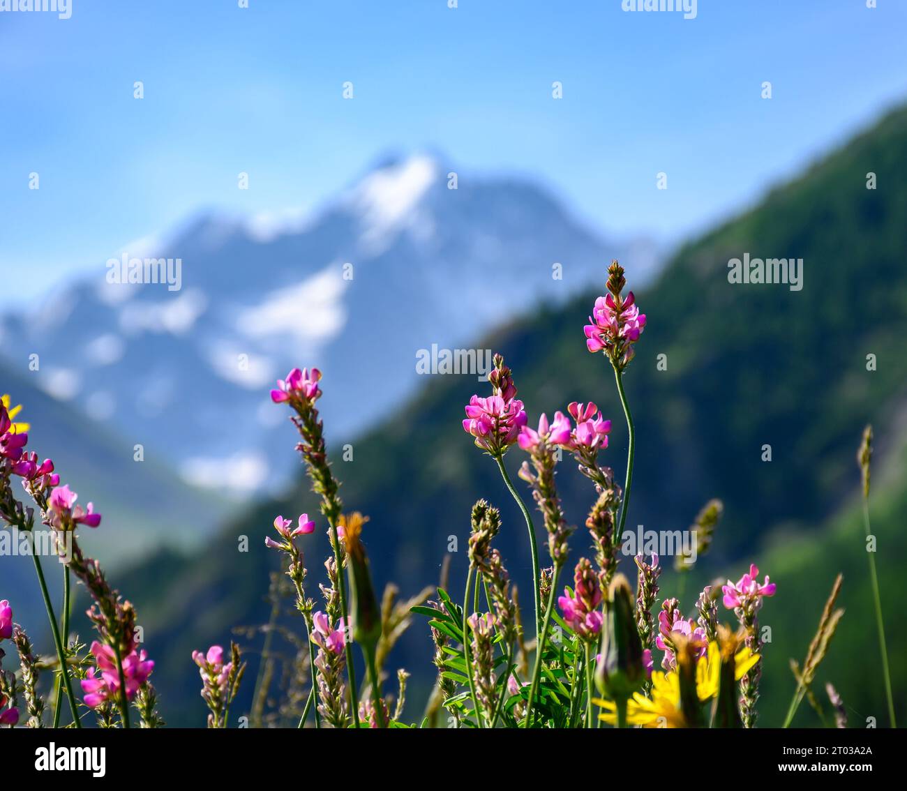 La meije des col du lautaret hi-res stock photography and images - Alamy