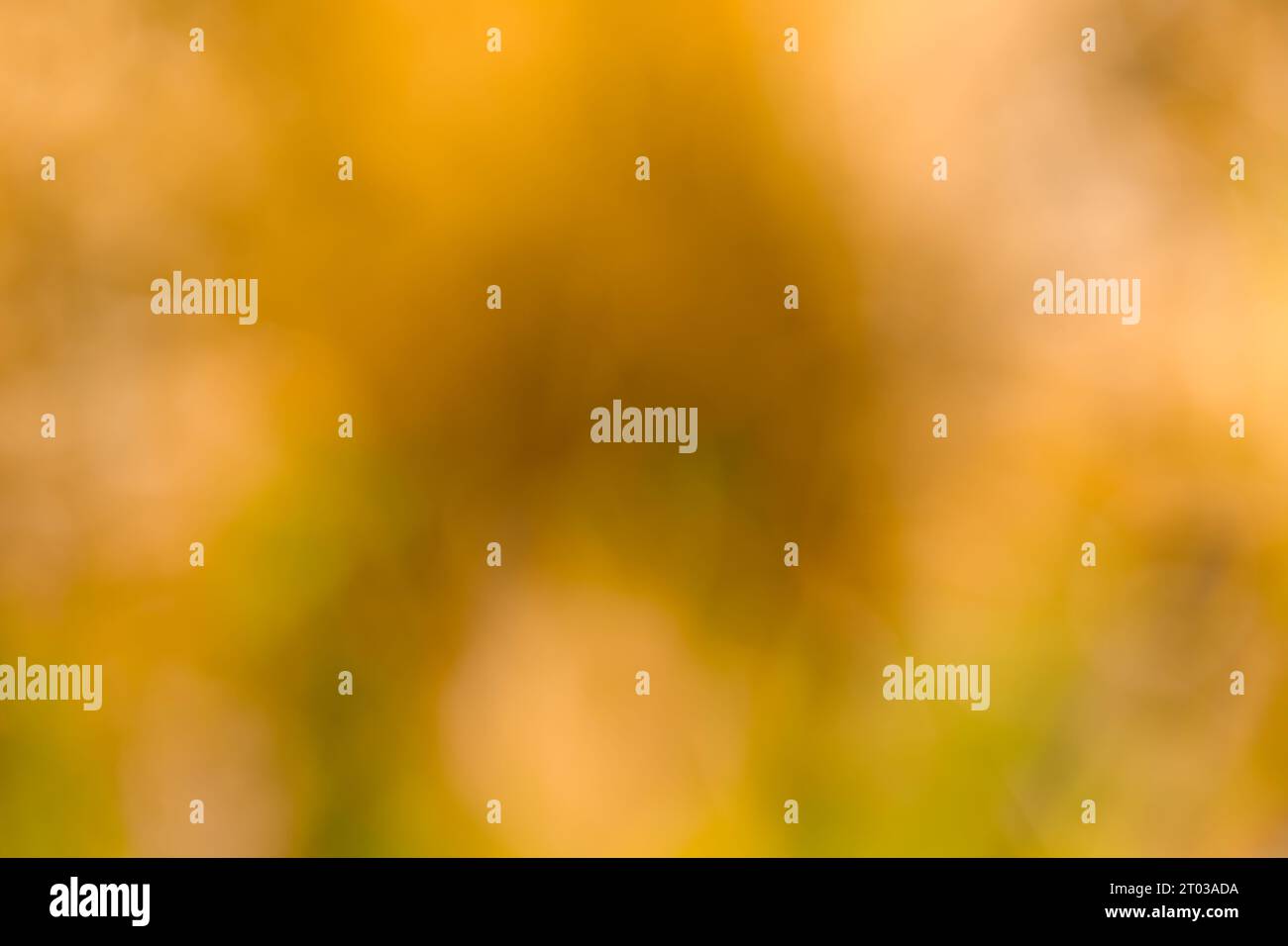 Light transitions screen hi-res stock photography and images - Alamy