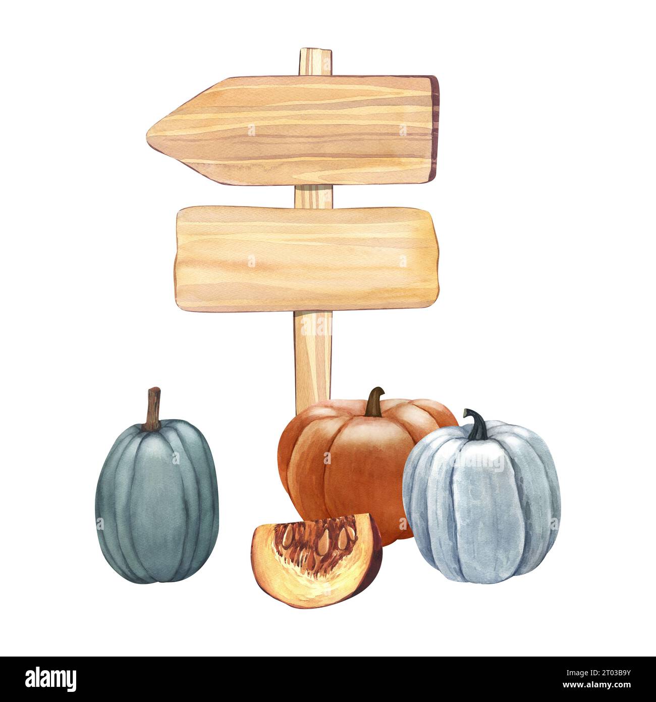 Watercolor the wooden street signs guidepost with realistic pumpkin ...