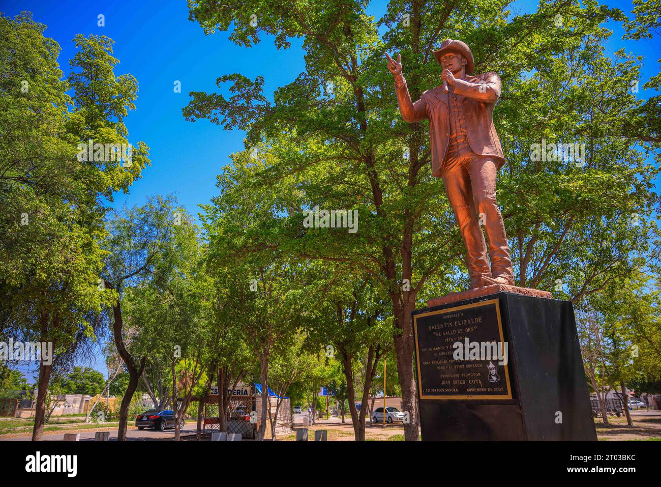 Monument to Valentin Elizalde, singer of Sinaloan Band music or ...