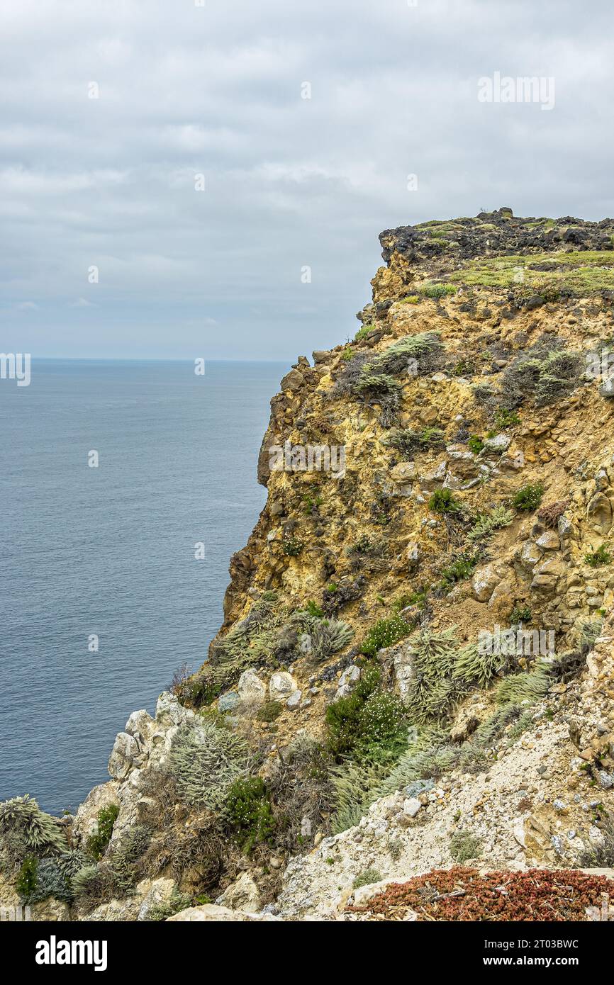 Santa Cruz Island, CA, USA - September 14, 2023: Yellow rocky cliff on ...