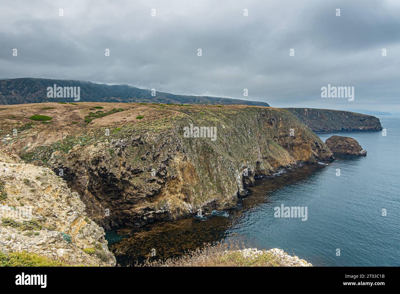 Santa Cruz Island, CA, USA - September 14, 2023: Yellow, brown and ...