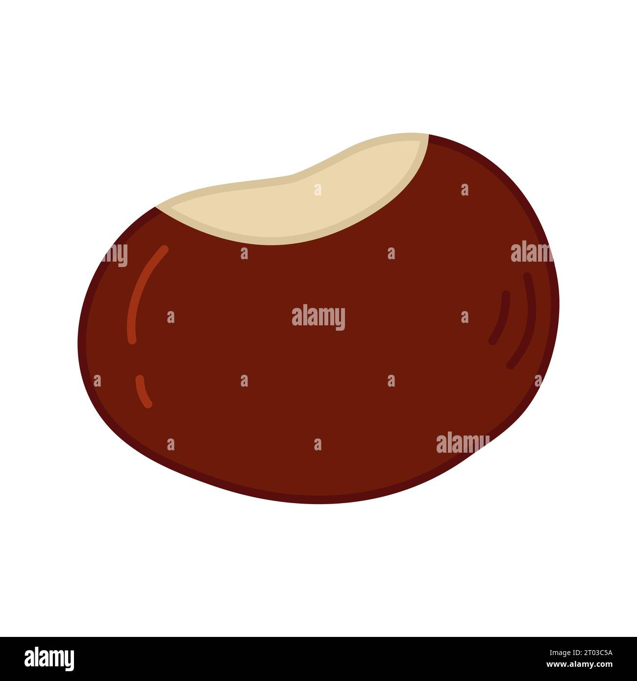 Chestnut without shell, autumn design element, doodle style vector ...