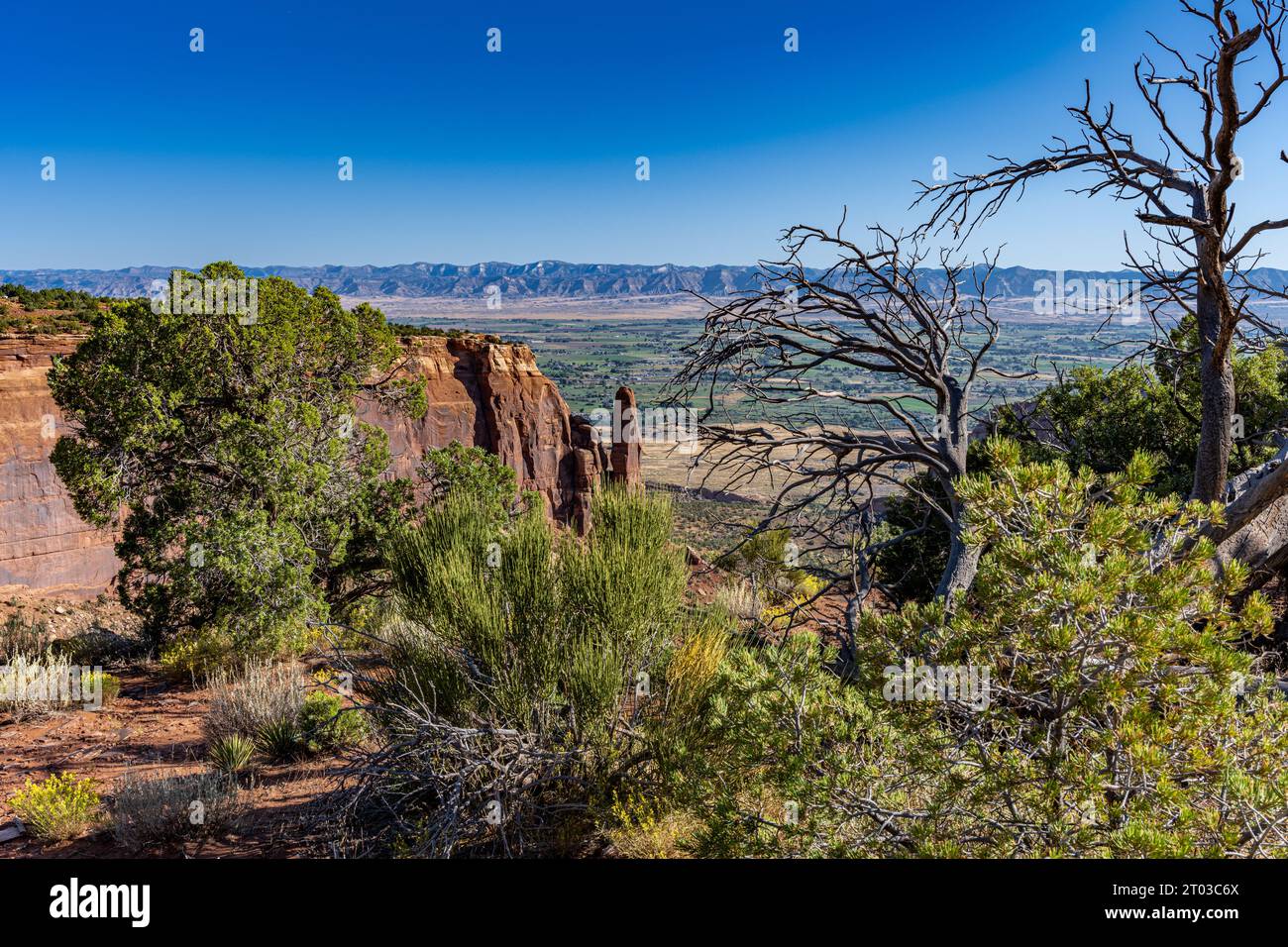 Monumnetas and Canyons as viewed off of Rim Rock Drive in Colorado ...