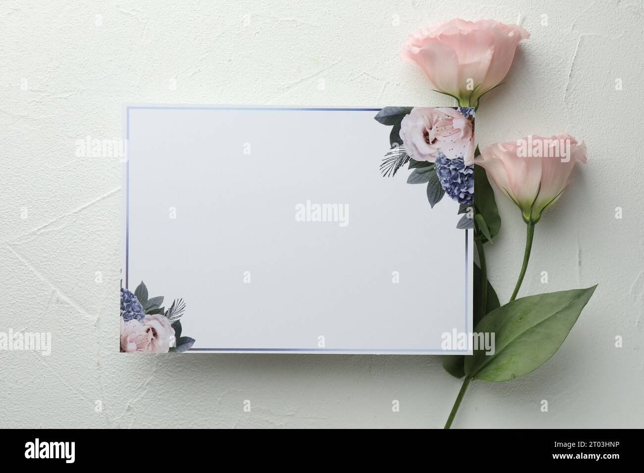 Blank invitation card and pink flowers on white table, flat lay Stock ...