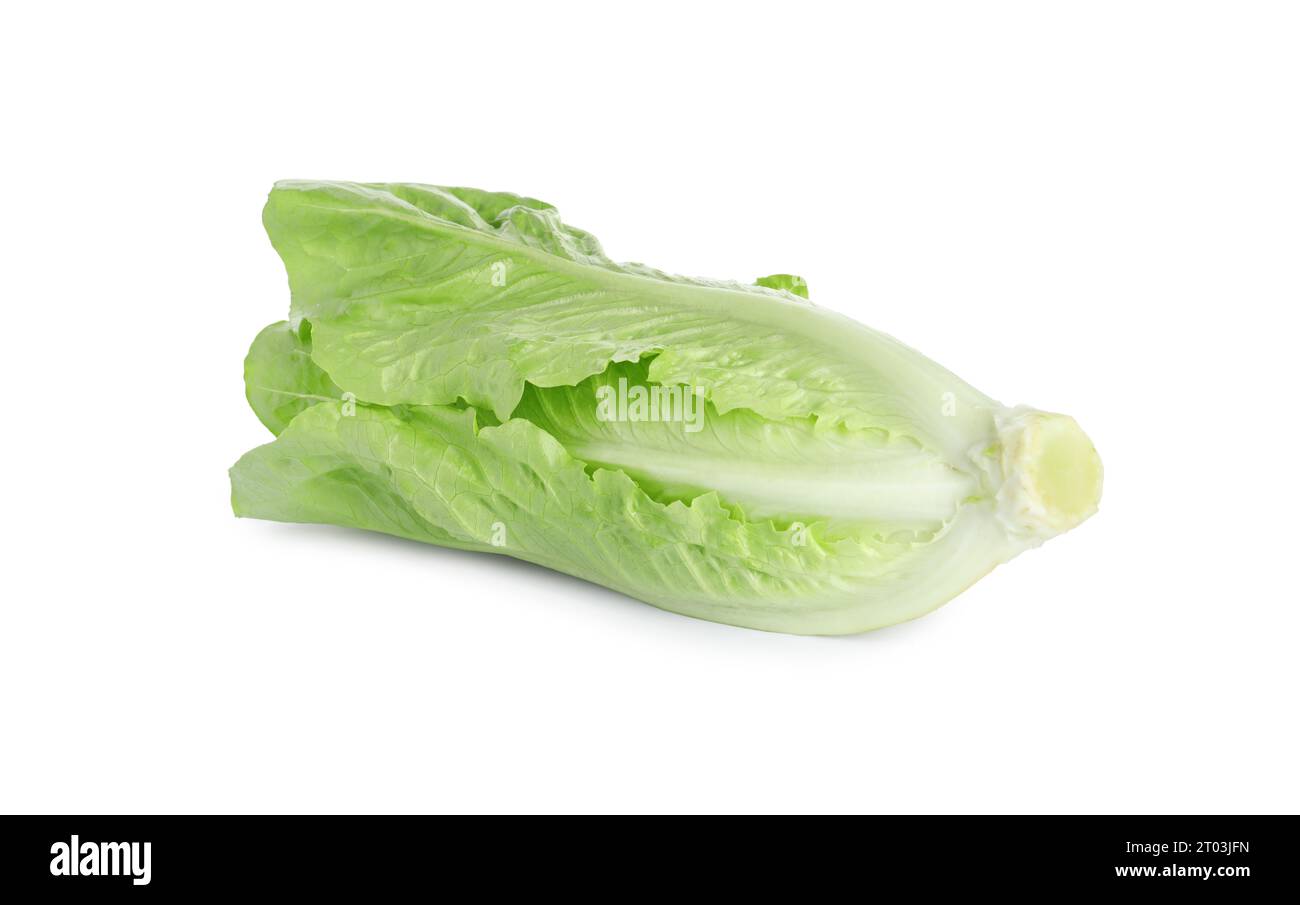 Fresh green romaine lettuce isolated on white Stock Photo - Alamy
