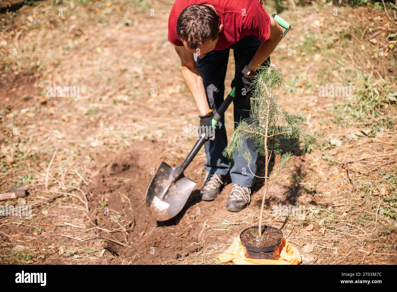 Man planting tree hole hi-res stock photography and images - Alamy