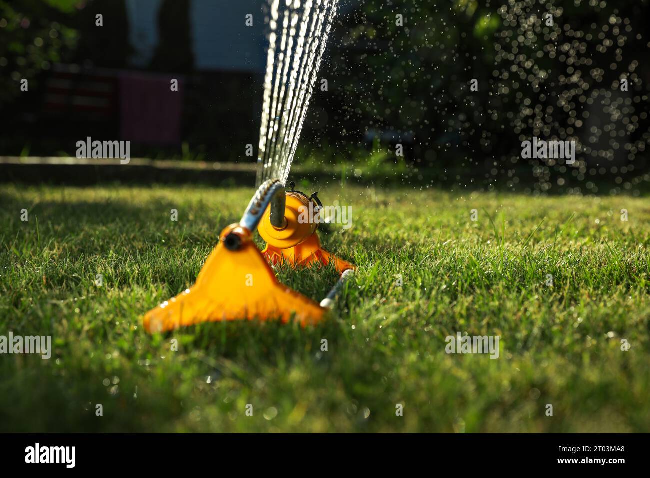 Automatic sprinkler watering green grass on sunny day outdoors ...