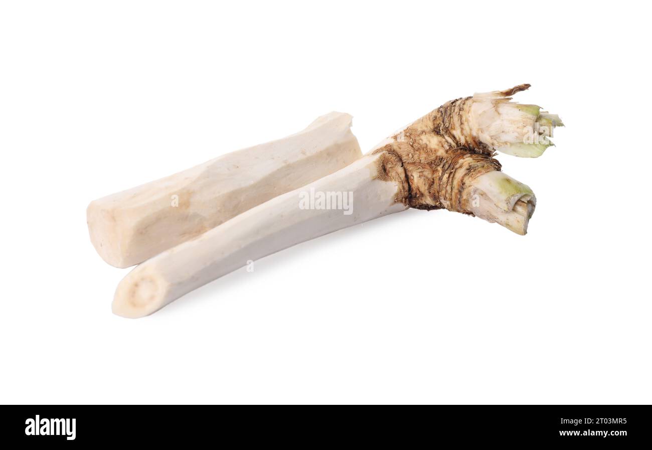Fresh peeled horseradish roots isolated on white Stock Photo - Alamy