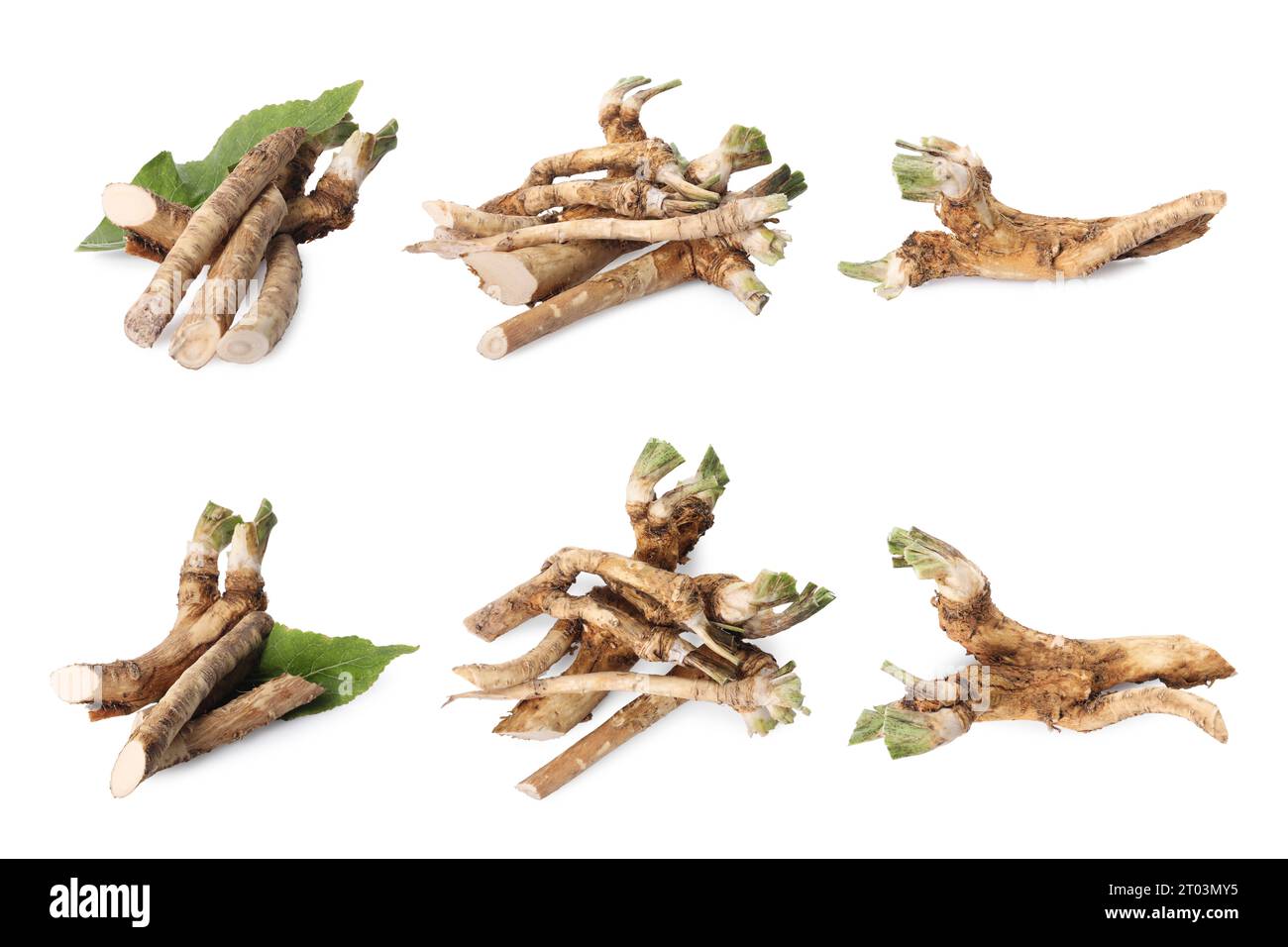 Raw horseradish roots isolated on white, collage design Stock Photo - Alamy