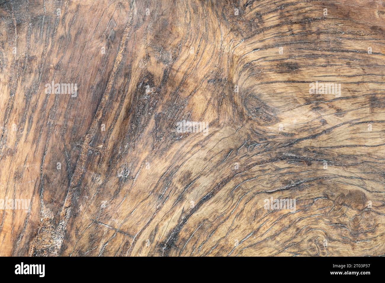 Rusty brown color stone texture Background. Decorative Rock stone wood ...