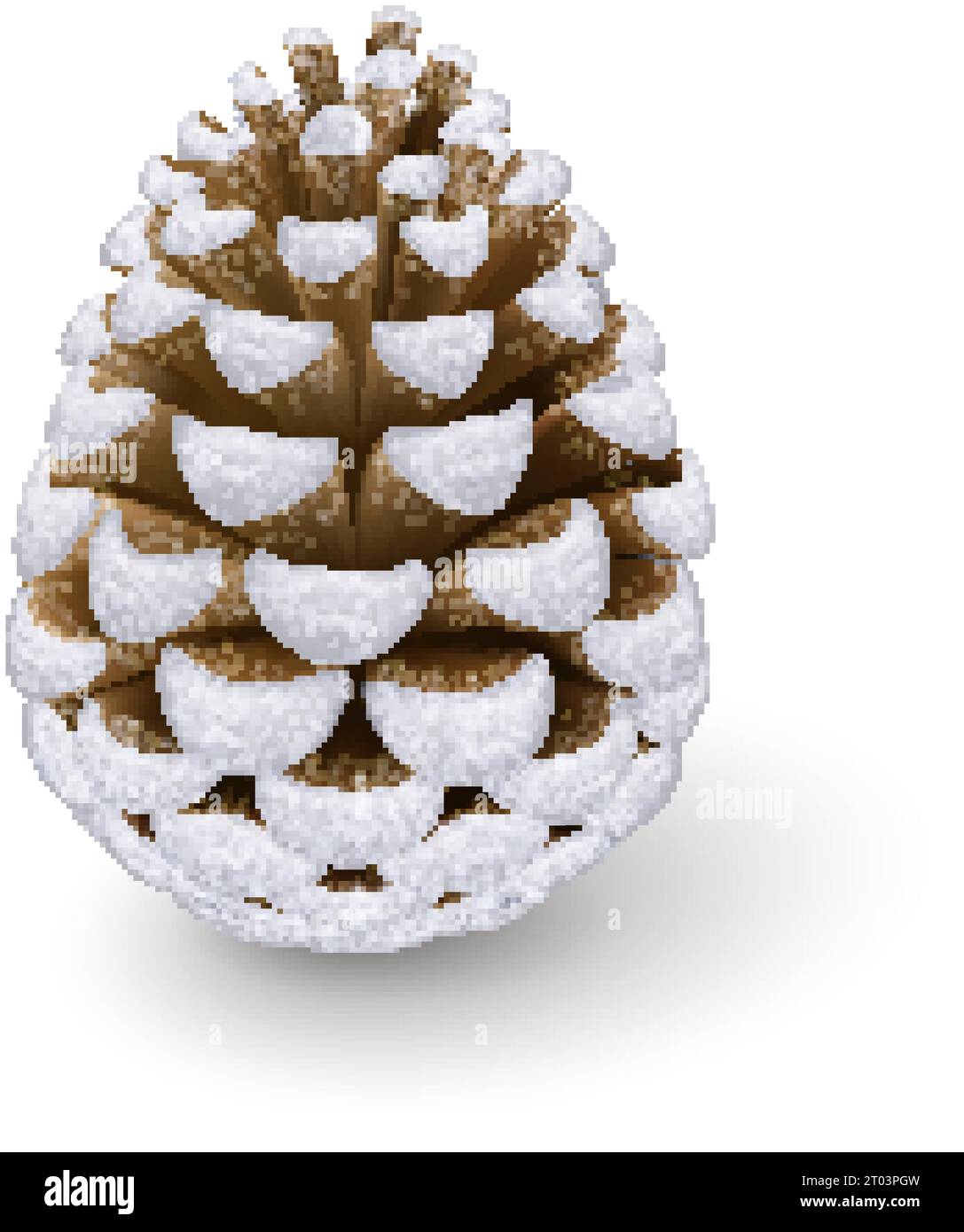 Realistic Silver Pine Cone. Single Decorative Woody Fruit of a Conifer ...