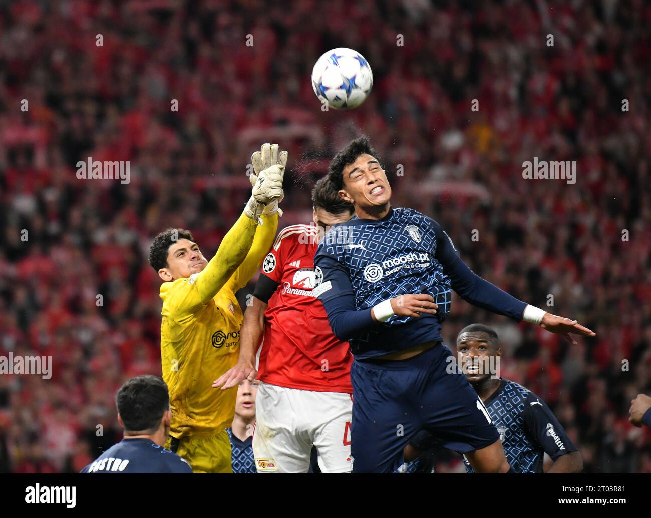 Vitor carvalho braga hi-res stock photography and images - Alamy