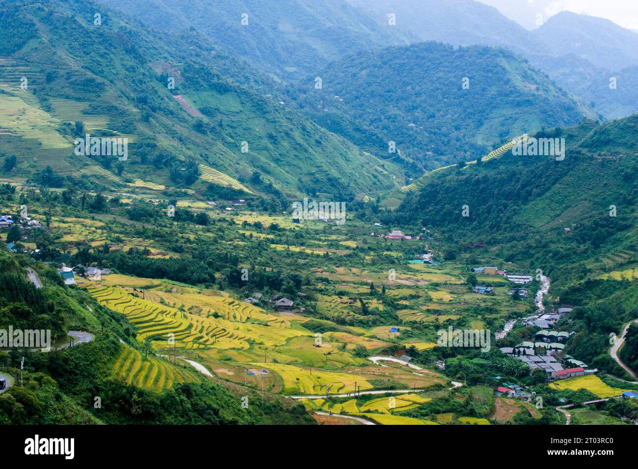 Stunning view rice terraces in hi-res stock photography and images - Alamy