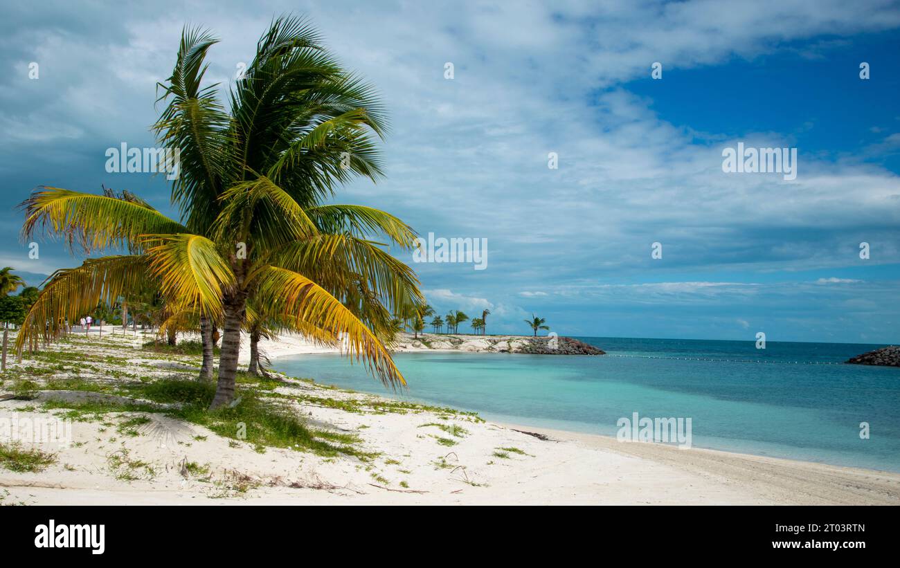 Beautiful white sand beach in Ocean Cay--- MSC Marine Reserve, The ...