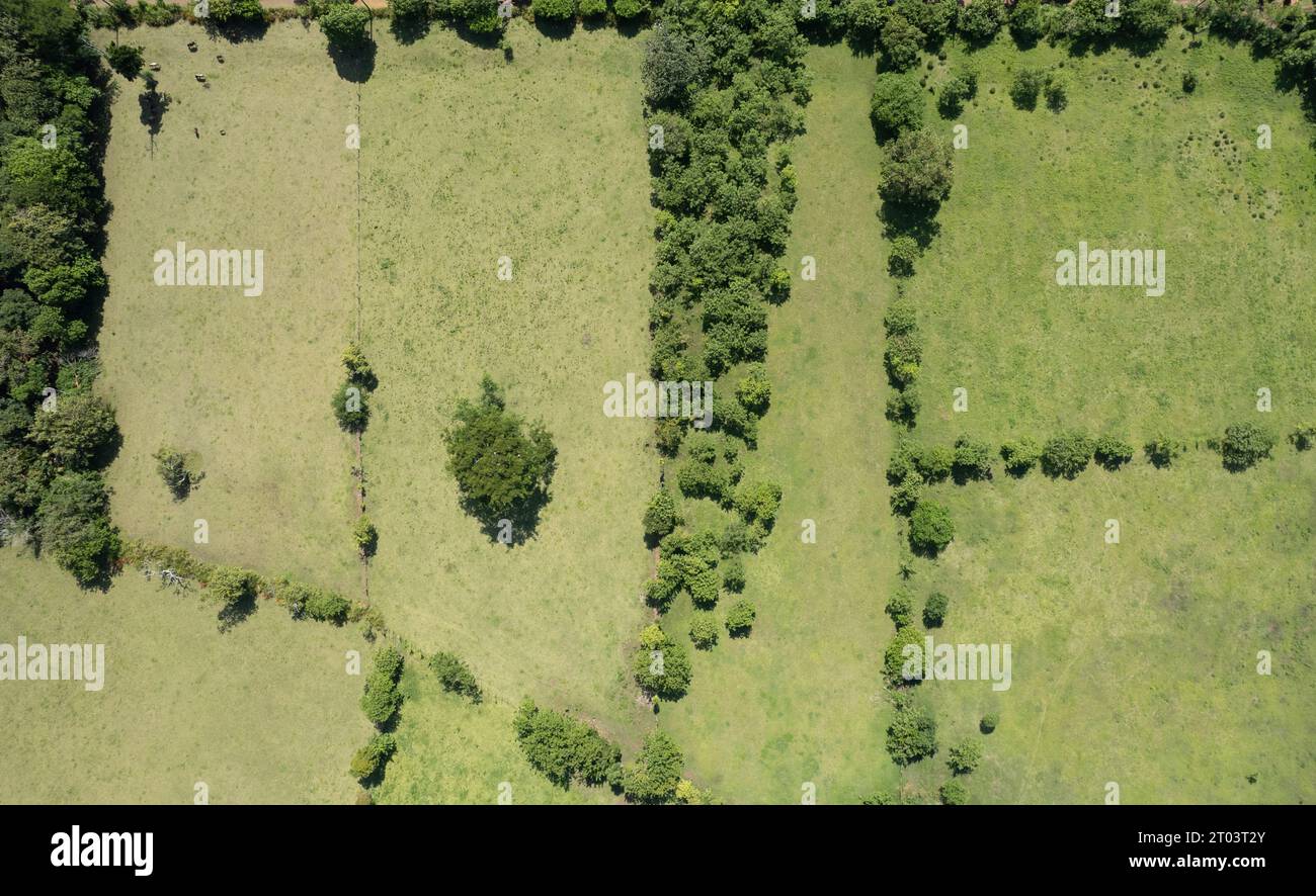 Green grass filed and trees landscape aerial drone top view Stock Photo ...