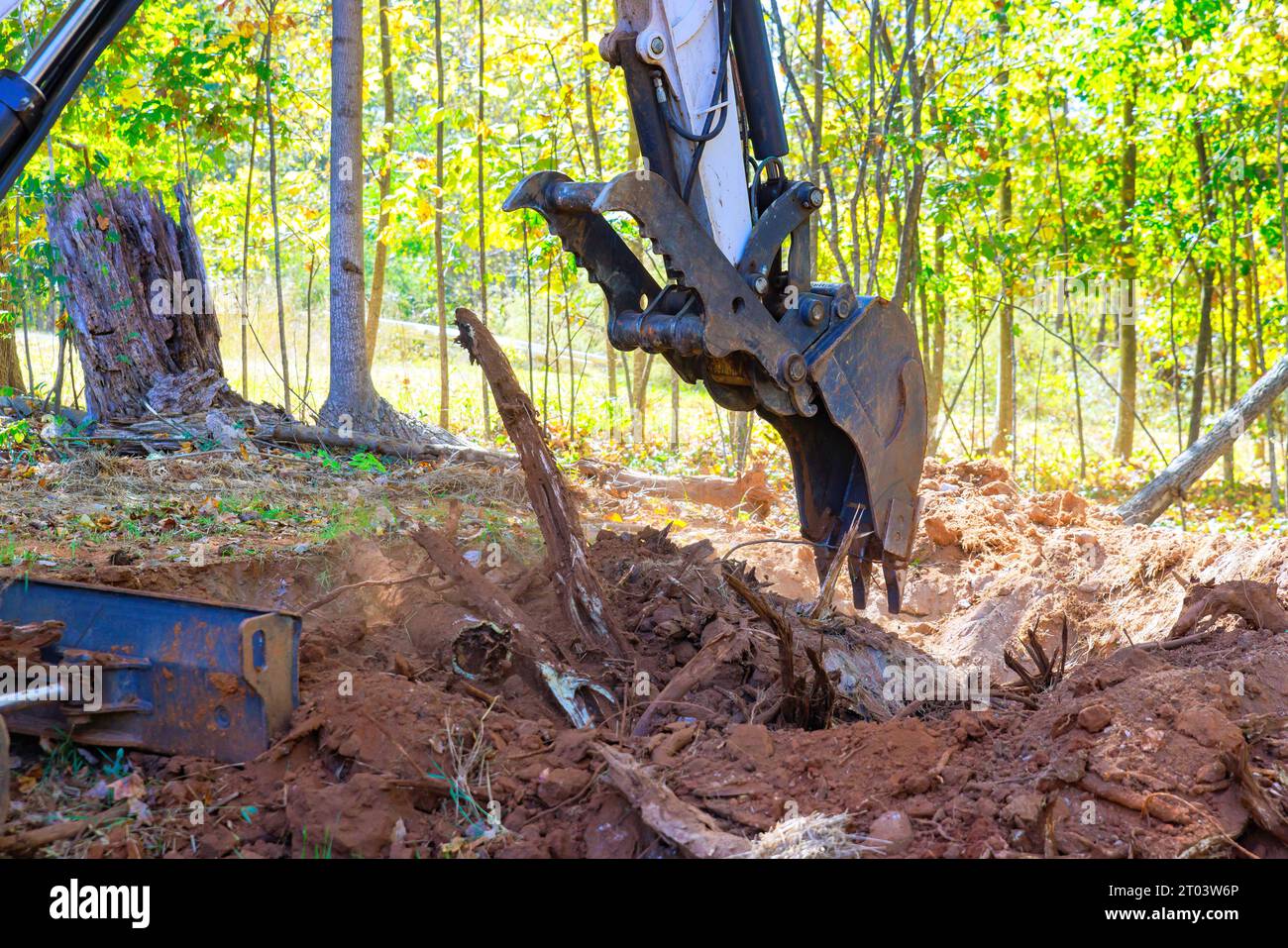 Worker clear uprooted tree hi-res stock photography and images - Alamy