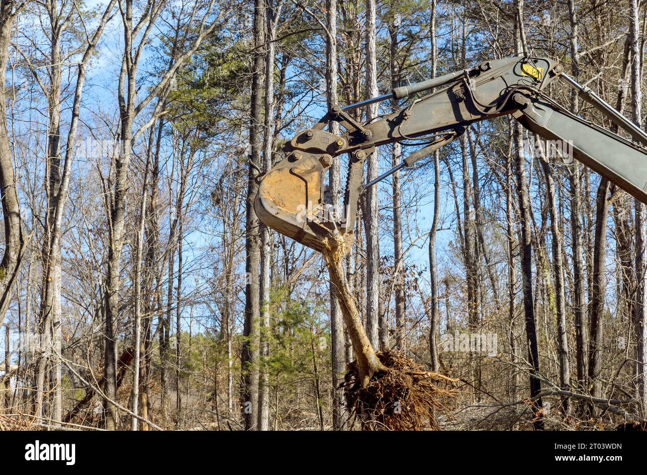 Excavator uprooting trees in hi-res stock photography and images - Alamy