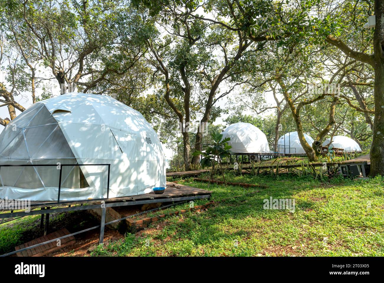 Tropical Glamping Campground - August 24, 2023: Tropical Glamping youth ...